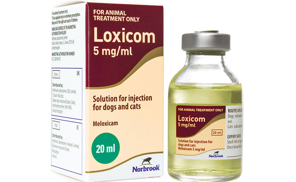 Loxicom 5mg/ml Solution for Injection For Dogs and Cats POM