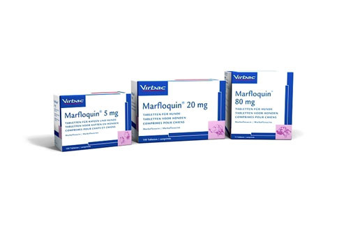 Amoxibactin Tablets (Pack of 250) | Hyperdrug