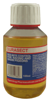 Durasect P 100ml
