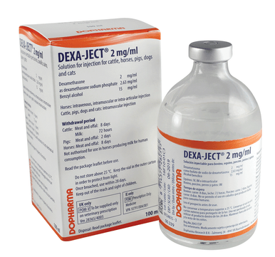 Dexa-ject 2 mg/ml Solution for Injection 100ml POM