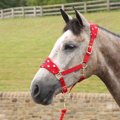 A super smart head collar and lead rope set with luxurious f
