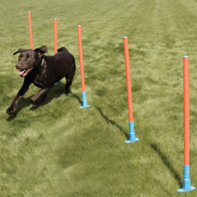 Agility Range - Slalom
