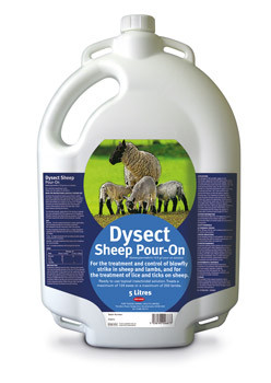 Dysect Pour On for Sheep
