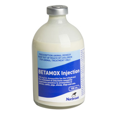 Betamox Injection 100ml POM
