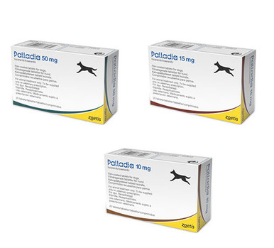 Palladia Tablets for dogs POM
