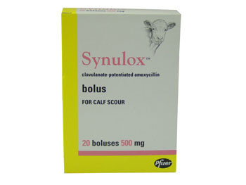 Synulox Bolus 500 mg film-coated tablet POM