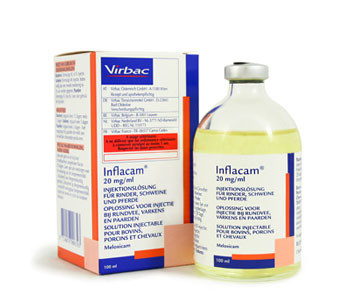 Inflacam 20mg/ml Solution for injection for cattle, pigs