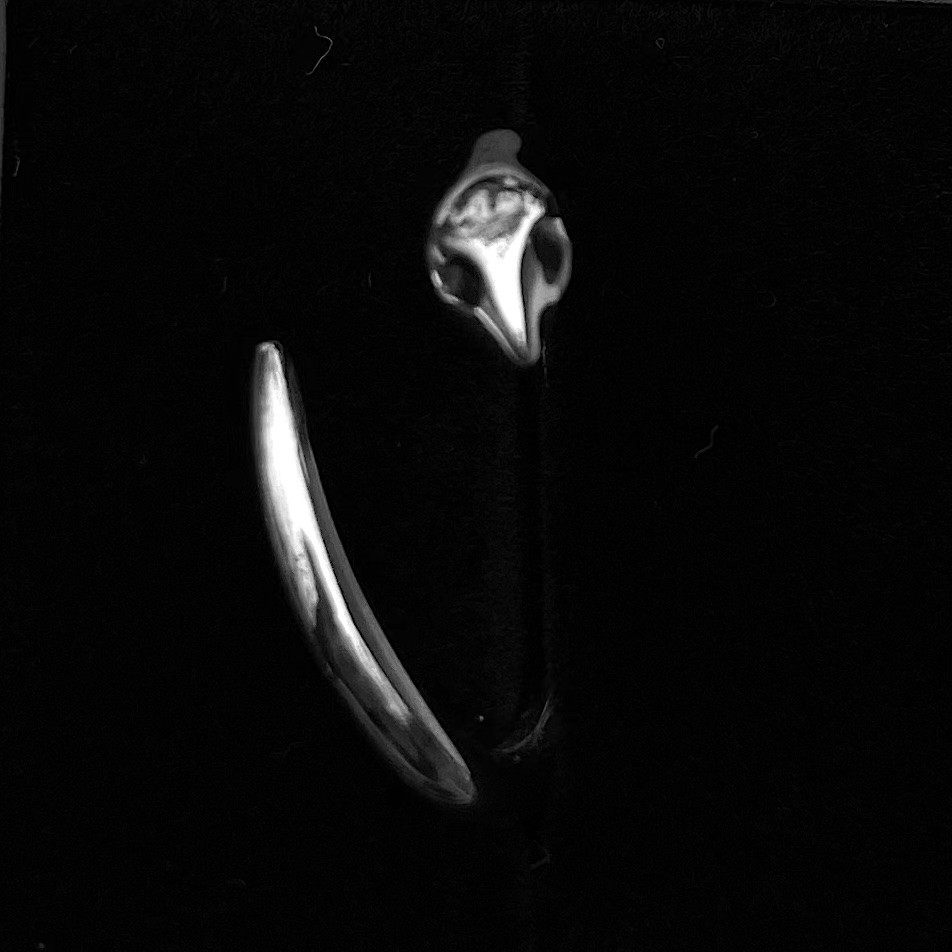 Platinum Whitby Jet Open Snake Ring 039PR - Aurora Jet