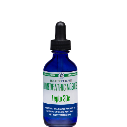 Homeopathic Nosodes for Dogs | Holistic Pet Care
