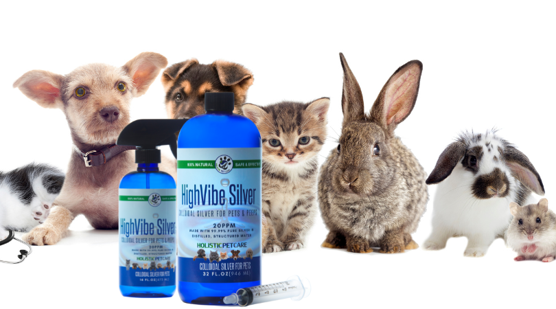 Long Term Use Of Colloidal Silver for Pets - Holistic Pet Care