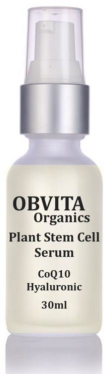 plant stem cell serum
