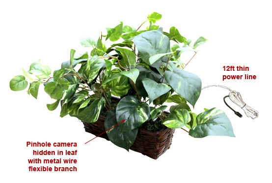 Fake Plant Hidden Camera w/ DVR, WiFi Remote Viewing & 20 Foot Night ...