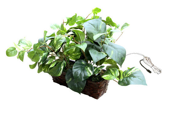 Fake Plant Hidden Camera w/ DVR, WiFi Remote Viewing & 20 Foot Night ...