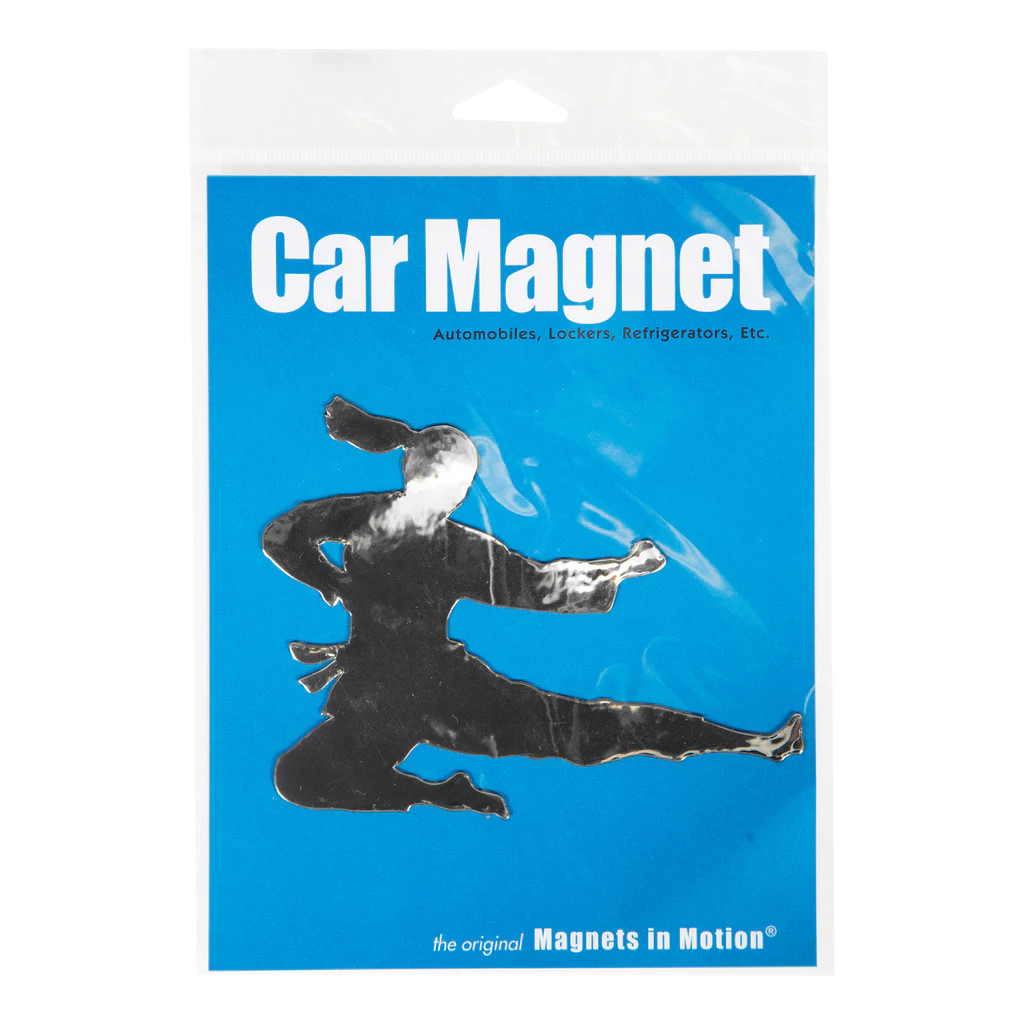 Martial Arts Magnet