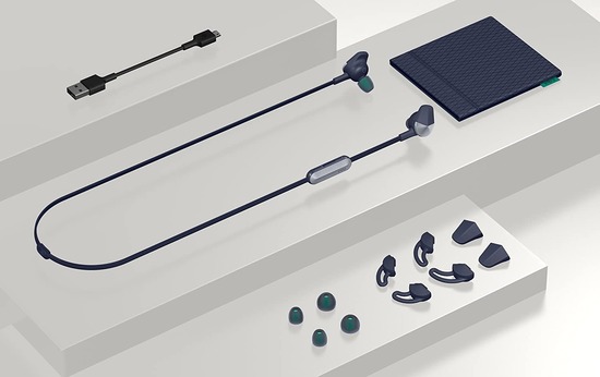 Fitbit Flyer Wireless Bluetooth Headphones - IJT Direct