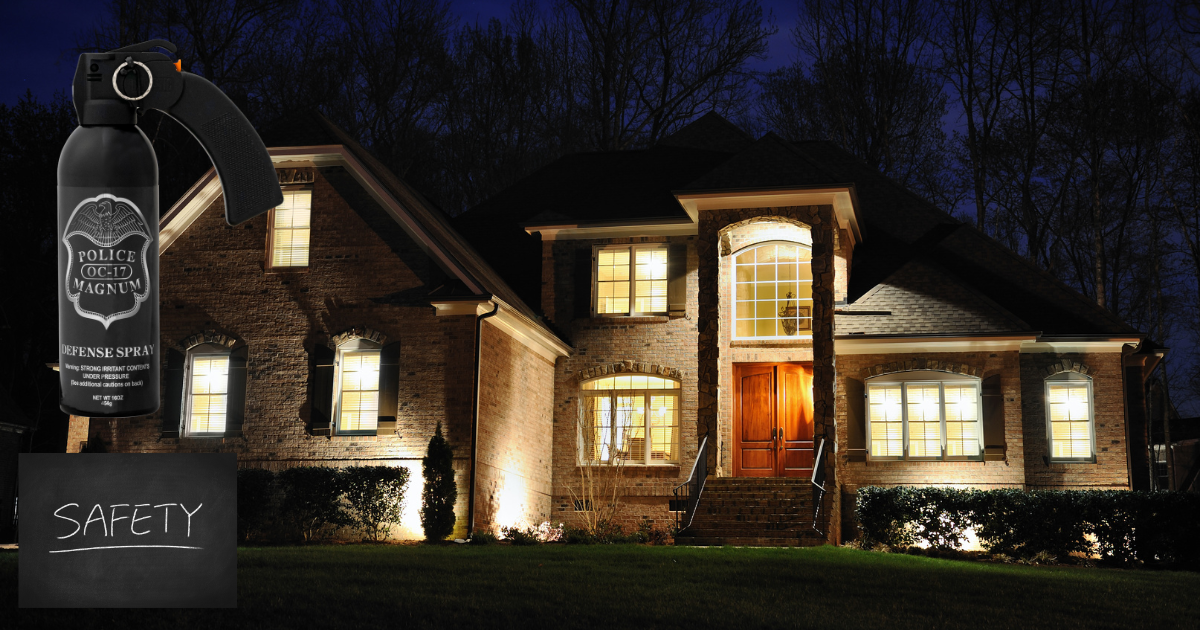 HOME SECURITY - DEFEND YOUR SAFE PLACE - Police Magnum