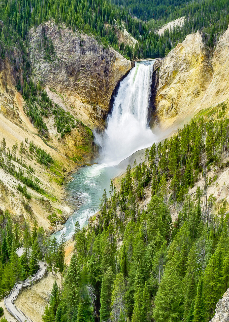 Yellowstone, Lower Fall - Postcard