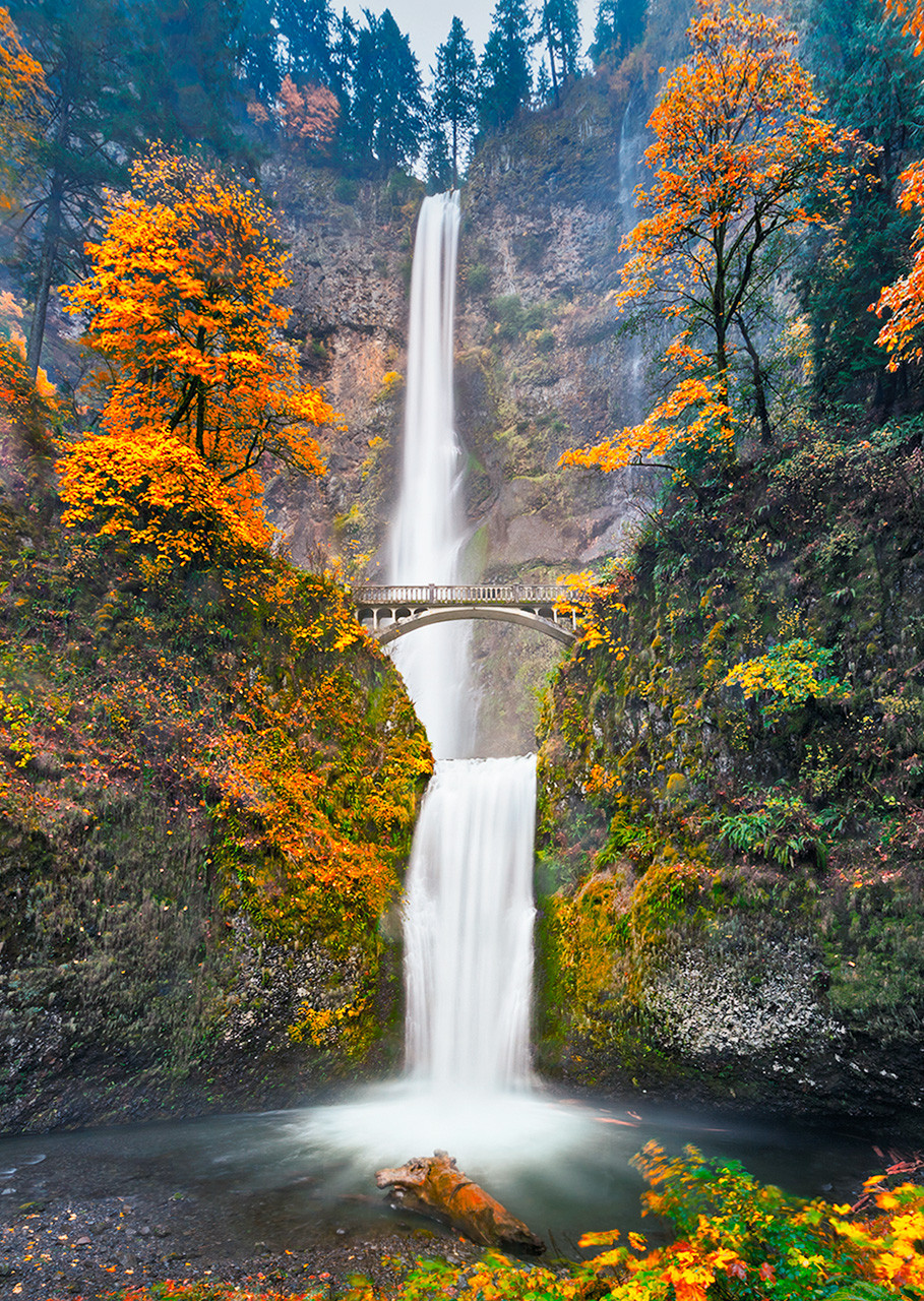 Multnomah Falls, Oregon - Postcard - Authentic Cards, Inc.