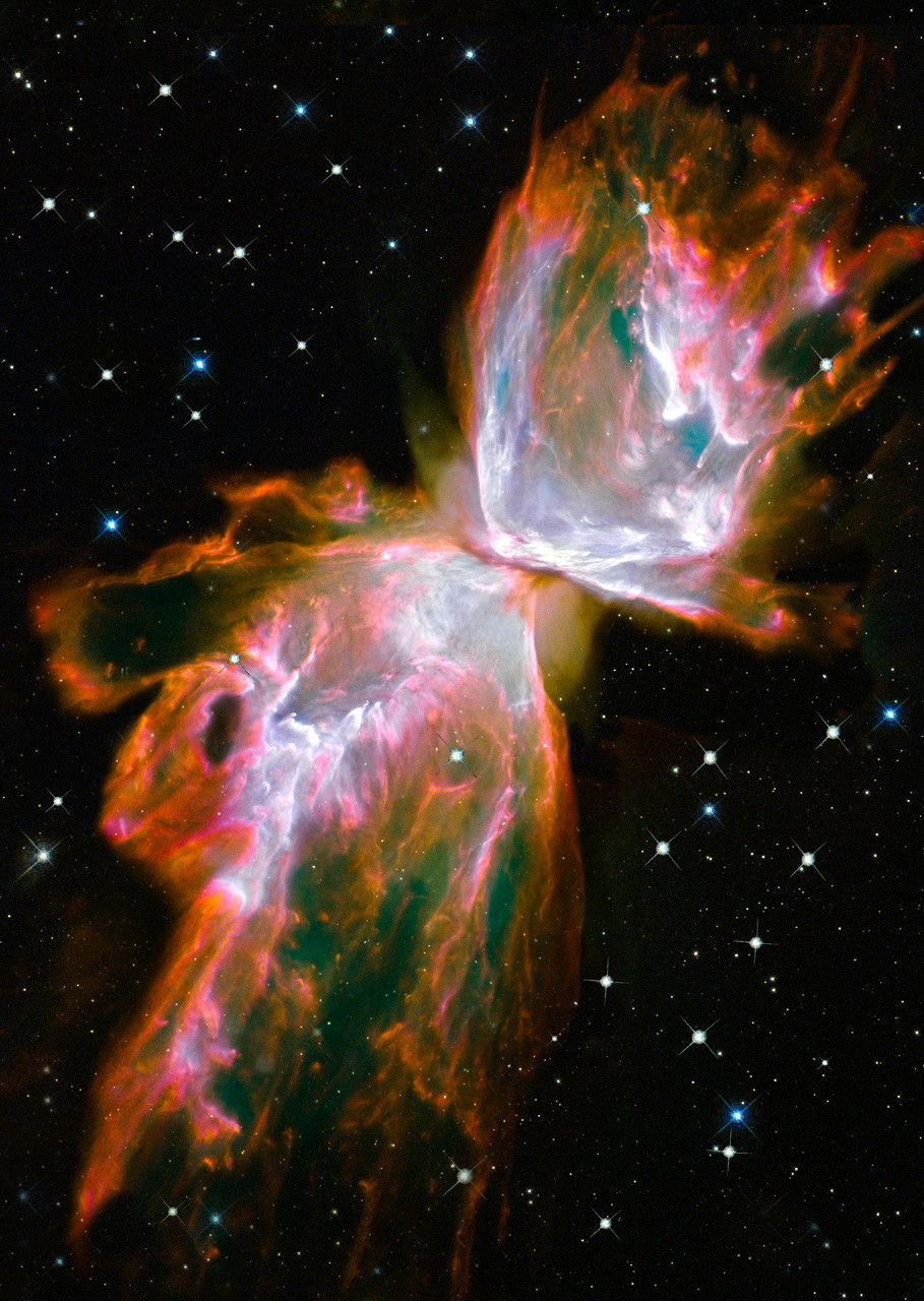 Butterfly Nebula (NGC 6302) - Postcard - Authentic Cards, Inc.