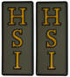Patches - Federal Agencies - HSI - LionHeart Alliance