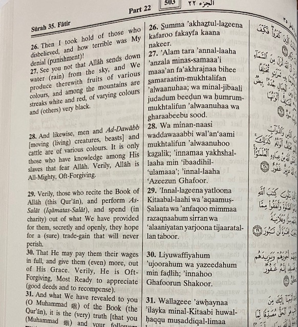 The Noble Quran English, Arabic & Transliteration in Roman Script ...