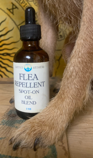 Natural Flea Repellents: How Effective Are These Essential Oils ...