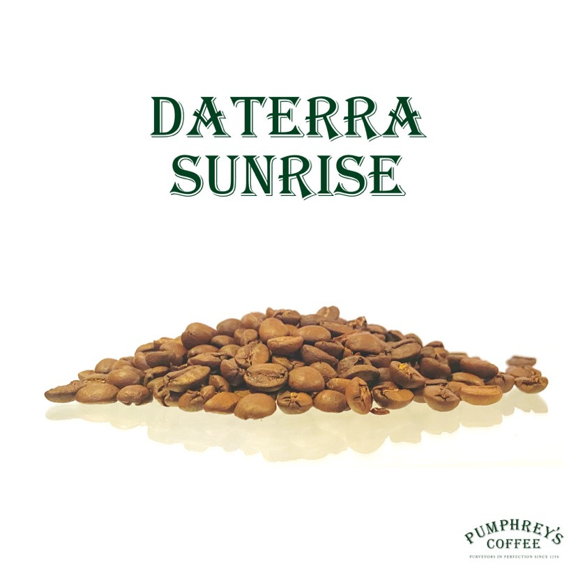 Brazil Daterra Coffee | Pumphreys Coffee