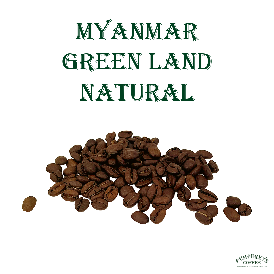 Coffee of the Month - June 2025, Myanmar Green Land Natural - Pumphreys ...