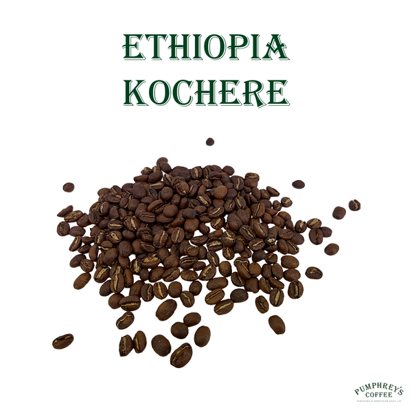 Coffee of the Month - November 2025, Ethiopia Kochere - Pumphreys Coffee