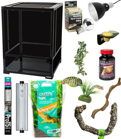 Crested Gecko Kit Ultimate (Store Collection Only)