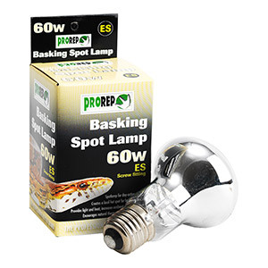 ProRep Basking Spotlamp 60W ES - Essex Reptile Ltd