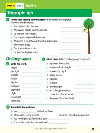 Grade 3 Reading Workbook – 200 Reading Skills for 3rd Grade