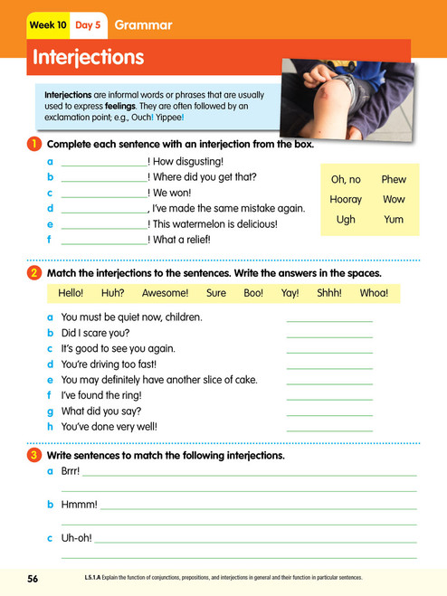 Grade 5 Reading Workbook – 200 Reading Skills for 5th Grade