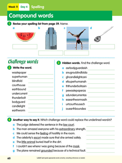 Grade 5 Reading Workbook – 200 Reading Skills for 5th Grade