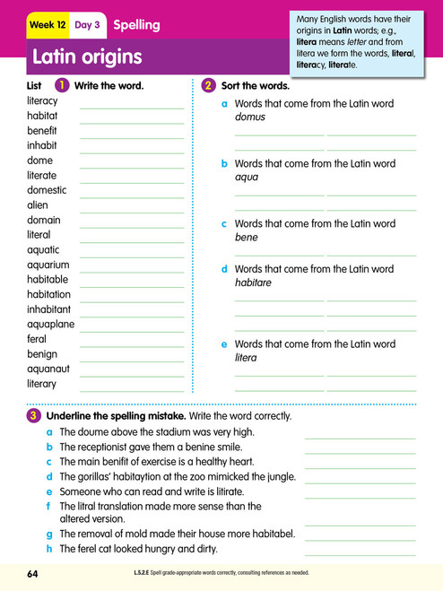 Grade 5 Reading Workbook – 200 Reading Skills for 5th Grade