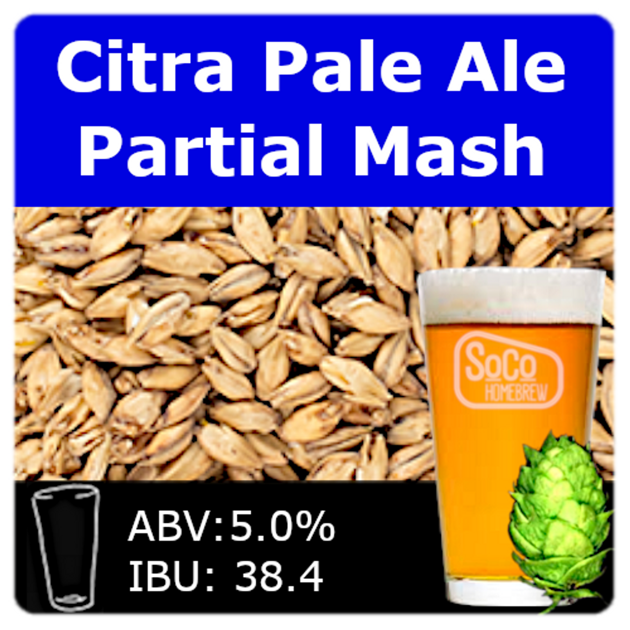 Citra Pale Ale Dry Hopped Partial Mash Soco Homebrew