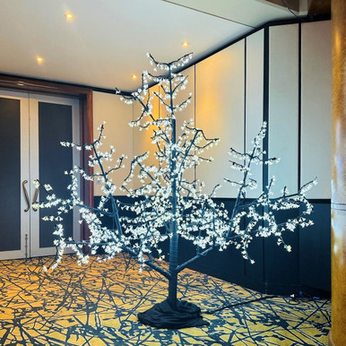 Illuminated Decor Hire Perth | Trees and Archways | Cosmic Cocktails ...