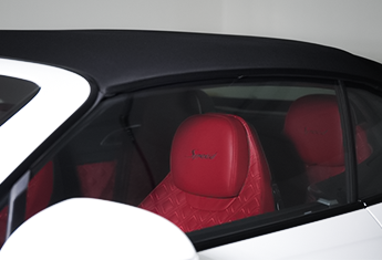 Convertible Top Care | Cleaners & Protectants - Autogeek.net