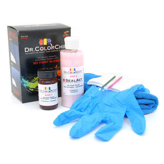 Dr. ColorChip Squirt n Squeegee PLUS Paint Kit