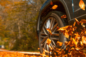 How To Prepare Your Vehicle for Fall - Autogeek - Your Trusted Source ...