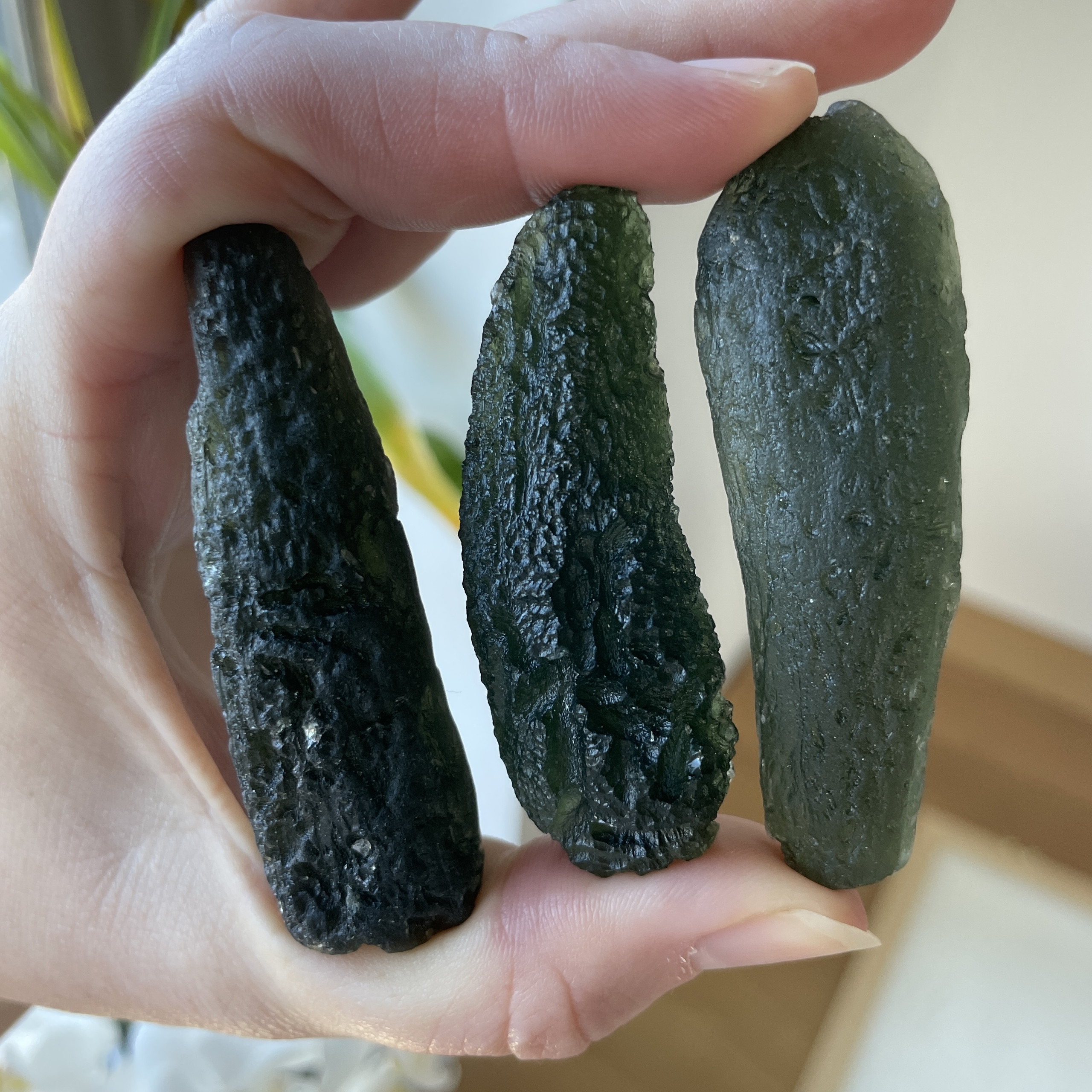 Best Moldavites Collection For Sale in USA | Moldavite Family