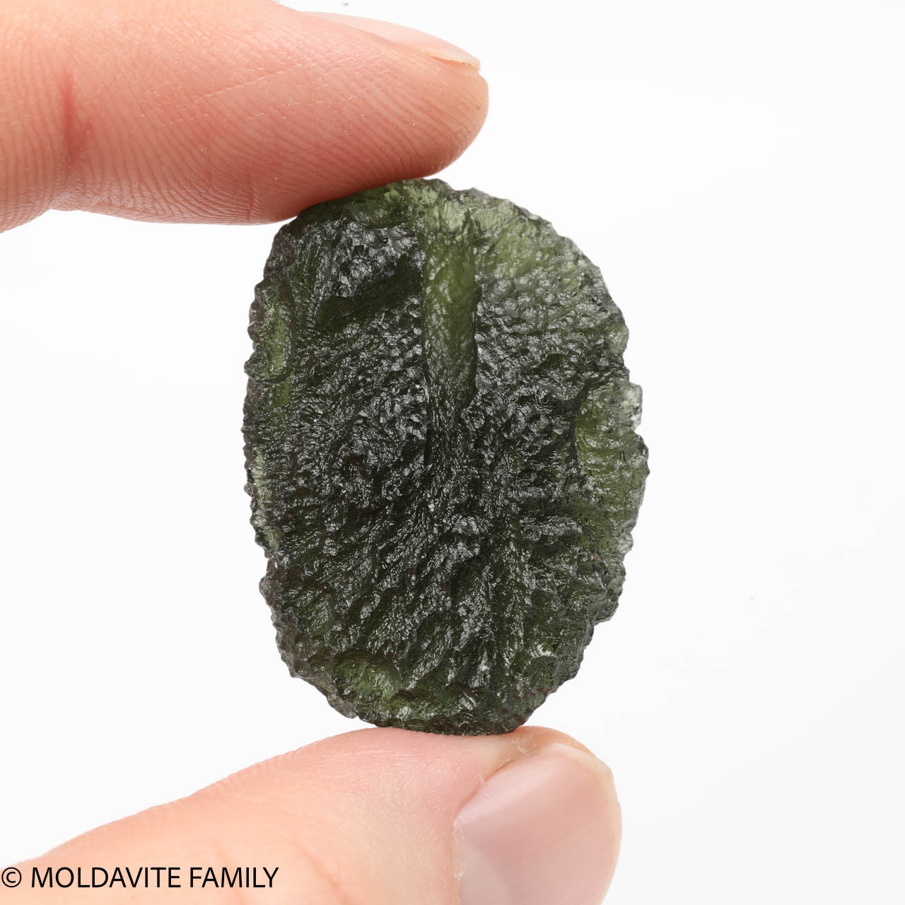 RAW MOLDAVITES - 15 - 20g Moldavite - Moldavite Family