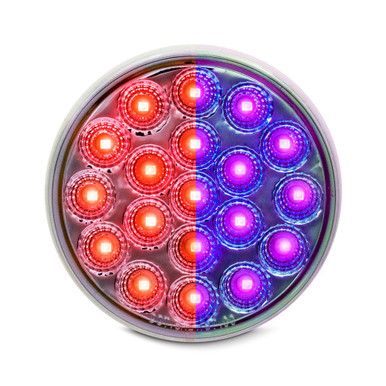 4" ROUND DUAL COLOR LIGHT - RED & PURPLE LED/CLEAR LENS