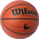 Wilson CCAA Evolution Game Basketball Soft Grip Feel