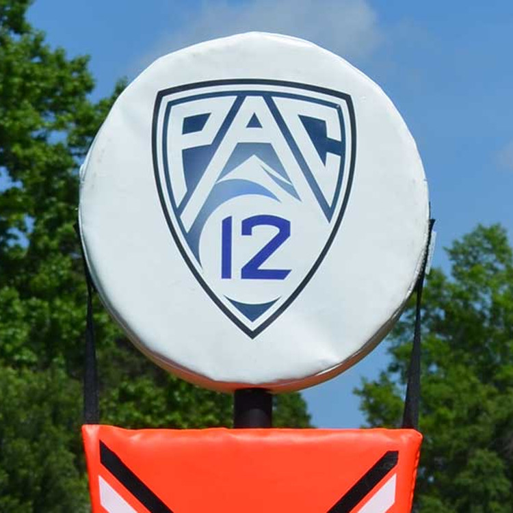 Customizable Fisher Chain Set BullEye Covers - Pair