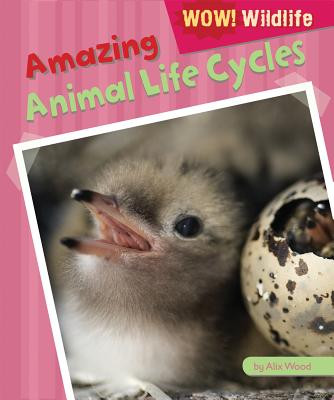 Amazing Animal Life Cycles (Library Binding) - Every Page Counts