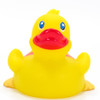 Rainbow Rubber Duck Gay Pride | Ducks In The Window