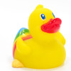 Rainbow Rubber Duck Gay Pride | Ducks In The Window