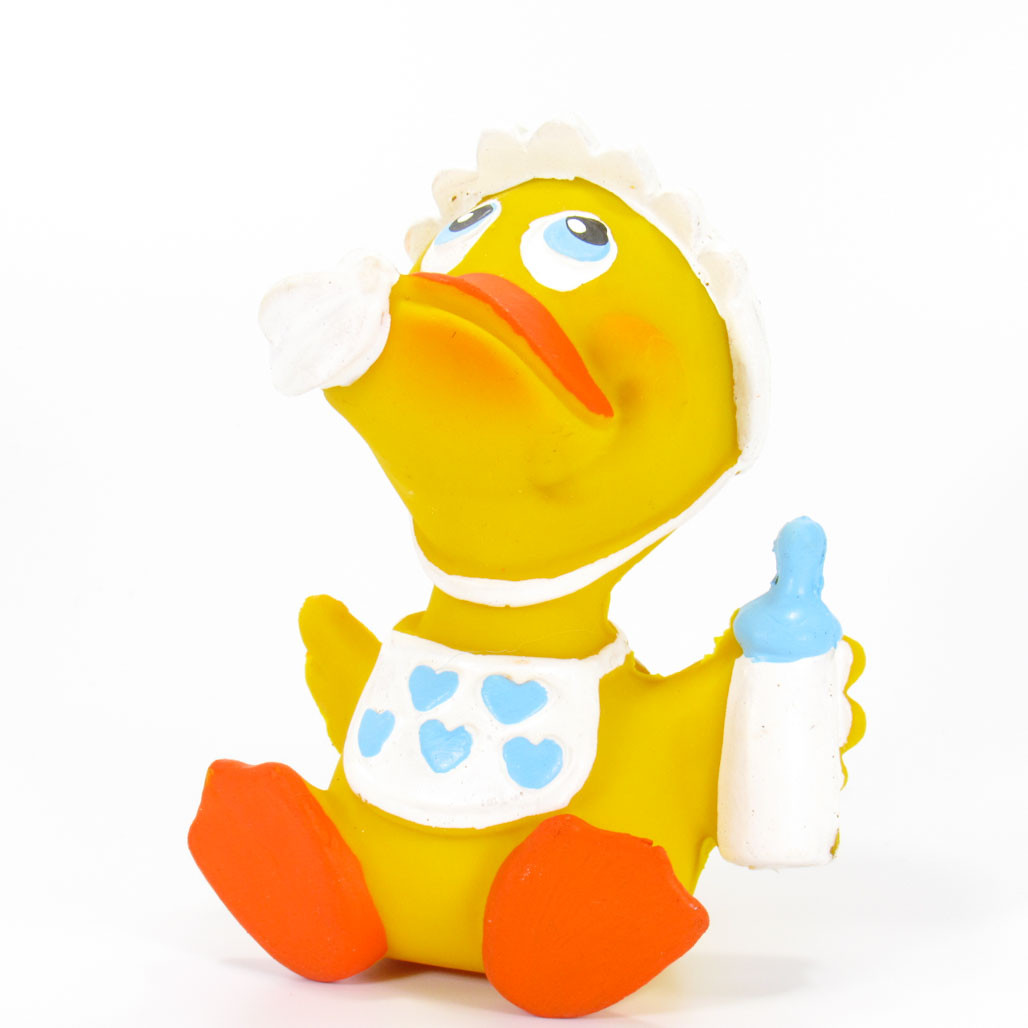 Baby Boy Rubber Duck | Ducks In The Window