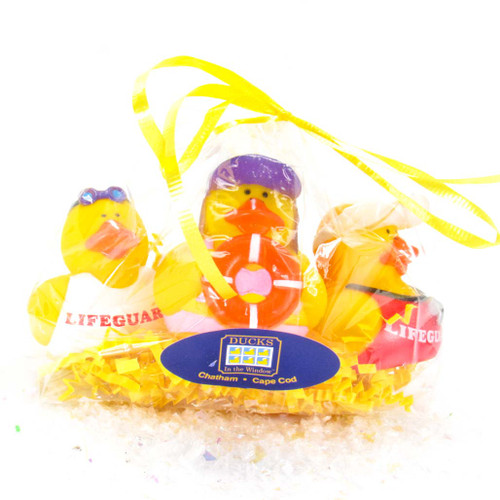 Lifeguard Small Rubber Duck Gift Bundle | Ducks in the Window